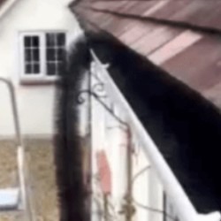 Eaves Protection | Guides, Tips & Advice | How To Install and Maintain ...