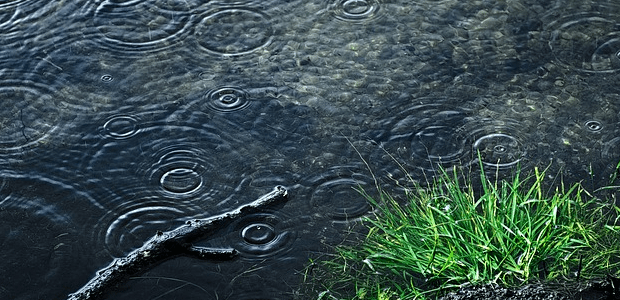 Is Cladding Waterproof? | Learn The Properties Of PVC Cladding